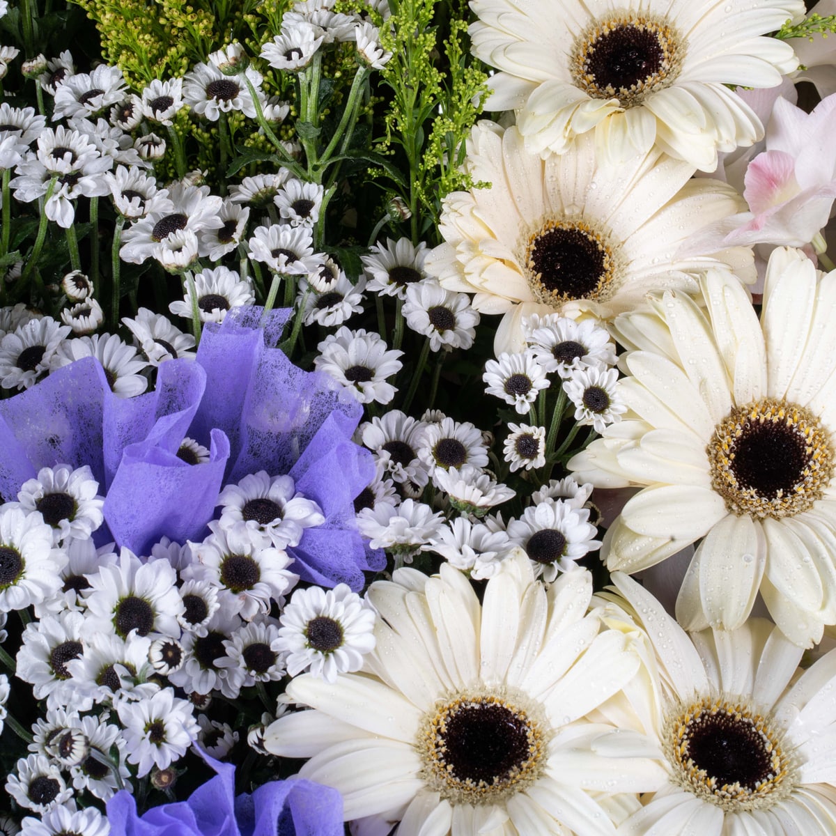 Infinity #9 - SG Florist