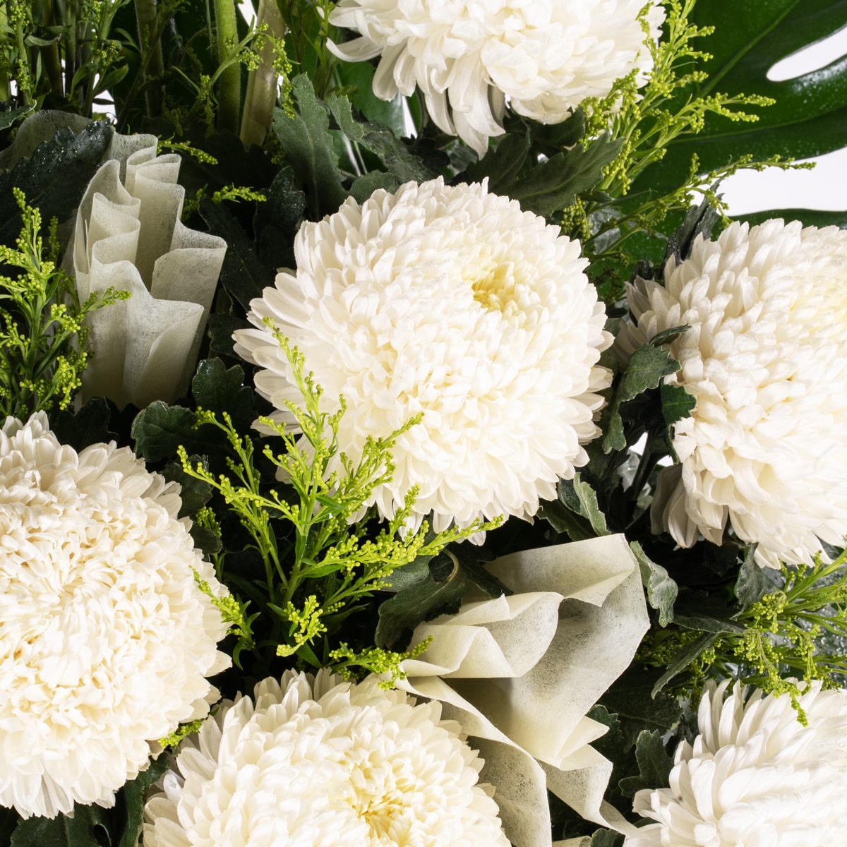 White Angel #44 - SG Florist