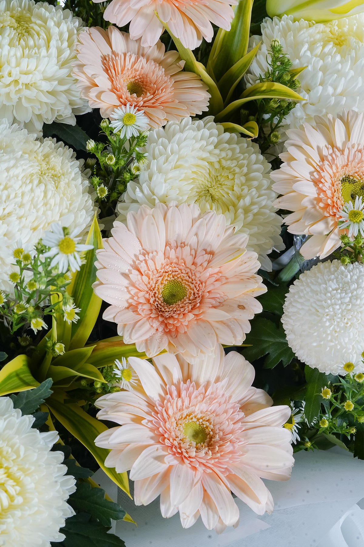 Endless Love - SG Florist