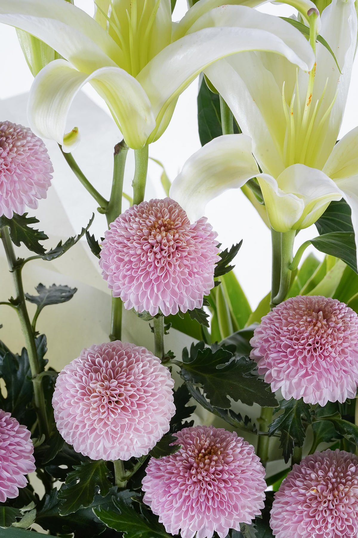 Purple Angel - SG Florist