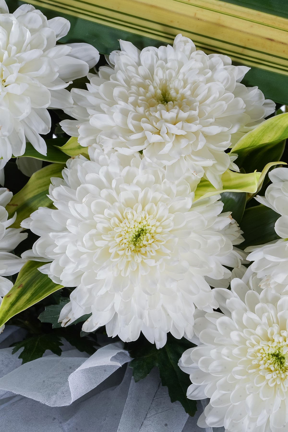 Rest in Paradise - SG Florist